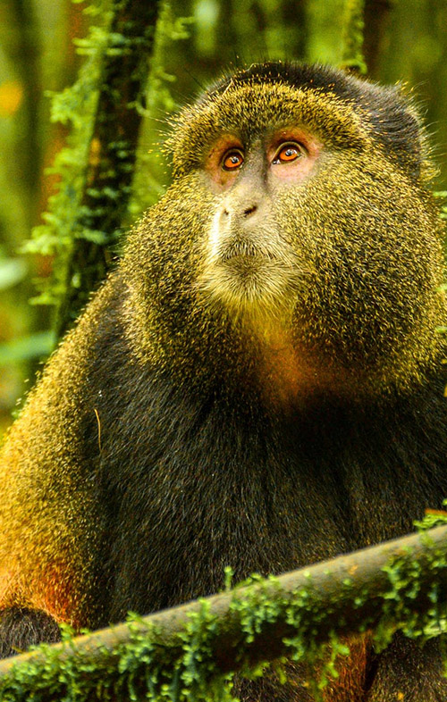 Experiences - The Governors Camp