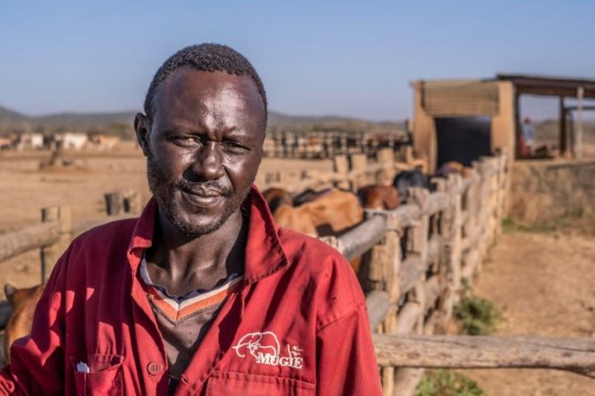 Lion prides and predator dynamics on Mugie Conservancy - The Governors Camp