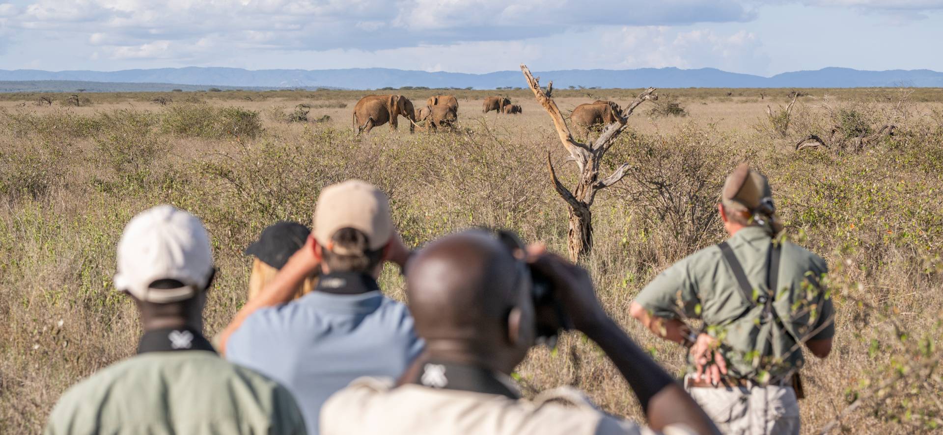 Best Guided Bush Walking Tours & Safaris in Kenya