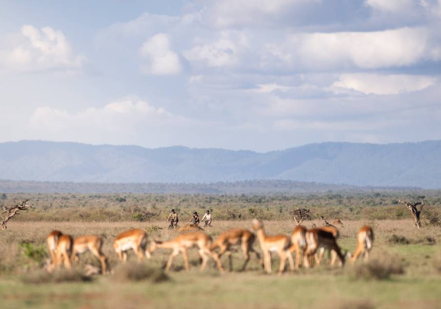 E-Bike Safaris at Mugie Conservancy | Eco Adventure with Governors ...