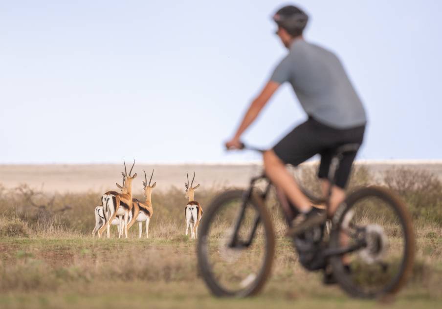 E-Bike Safaris at Mugie Conservancy | Eco Adventure with Governors ...