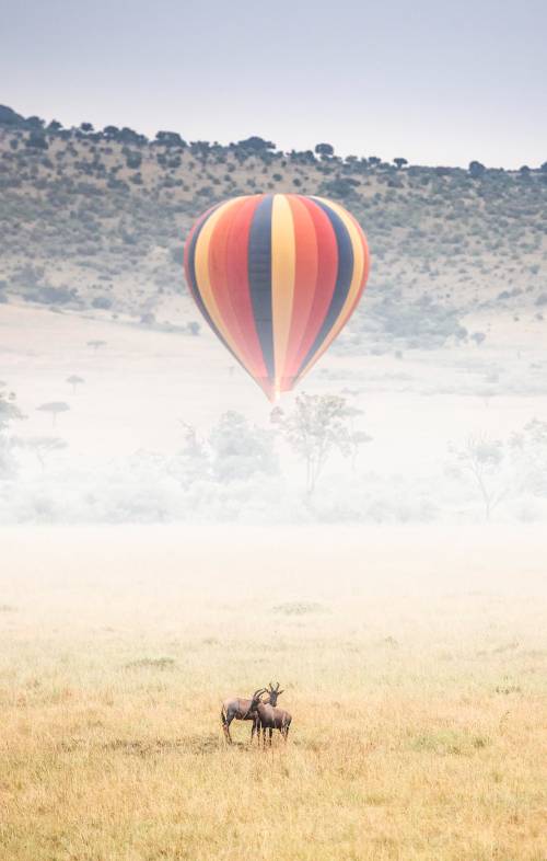 Experiences - The Governors Camp